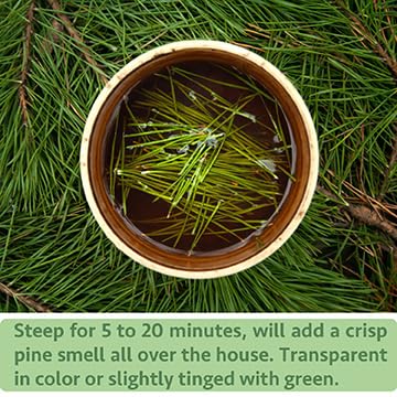 soothing white pine needle infusion