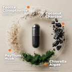 SORBOLIT herbal detox tea benefits