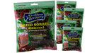 Sorrel hibiscus flower herbal tea
