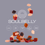 SOULBELLY multi-mushroom blend for overall health