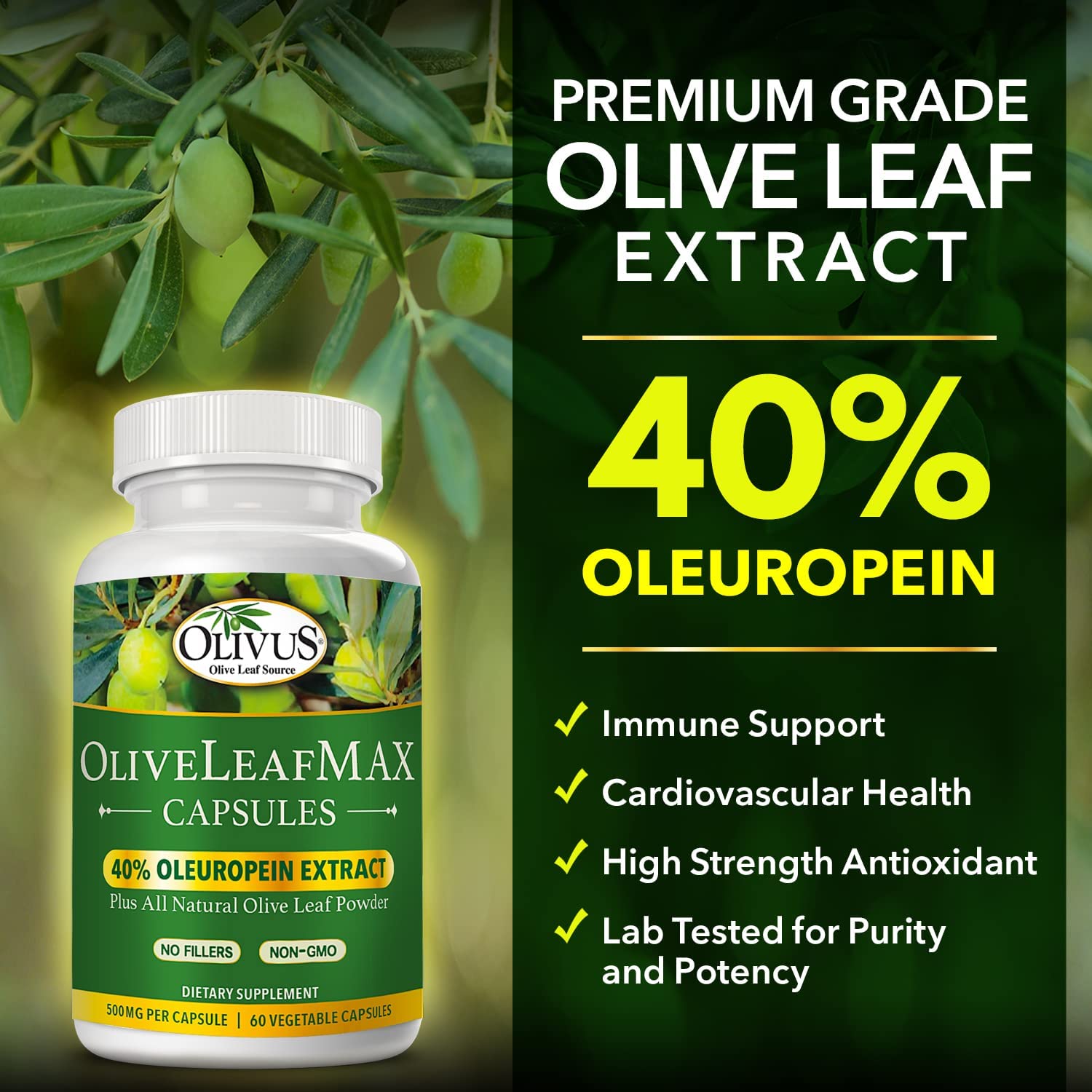 sourced from Spain olive leaf