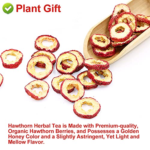 sourcing quality dried hawthorn berries