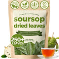 soursop dried leaves herbal tea