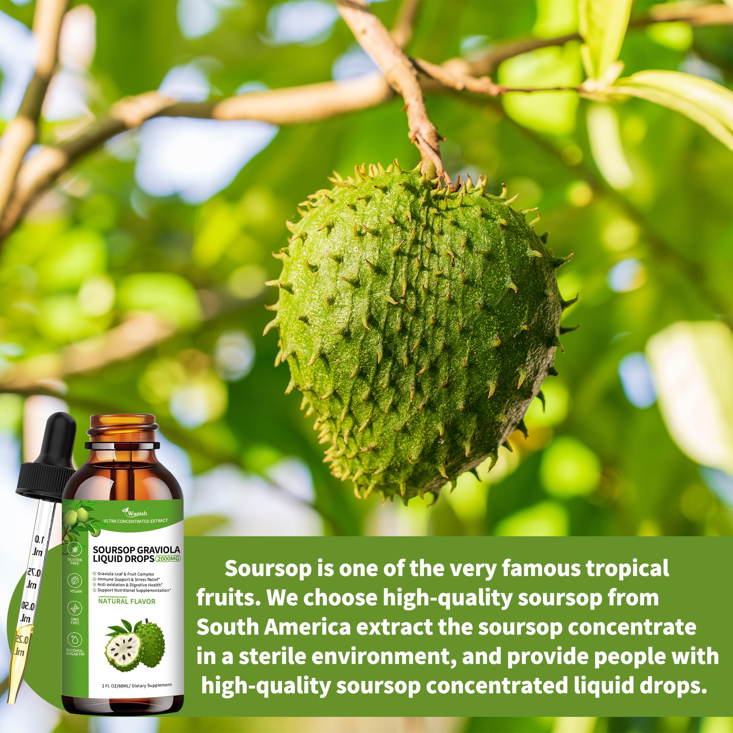 soursop extract for overall health
