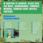 Soursop Graviola for digestive health