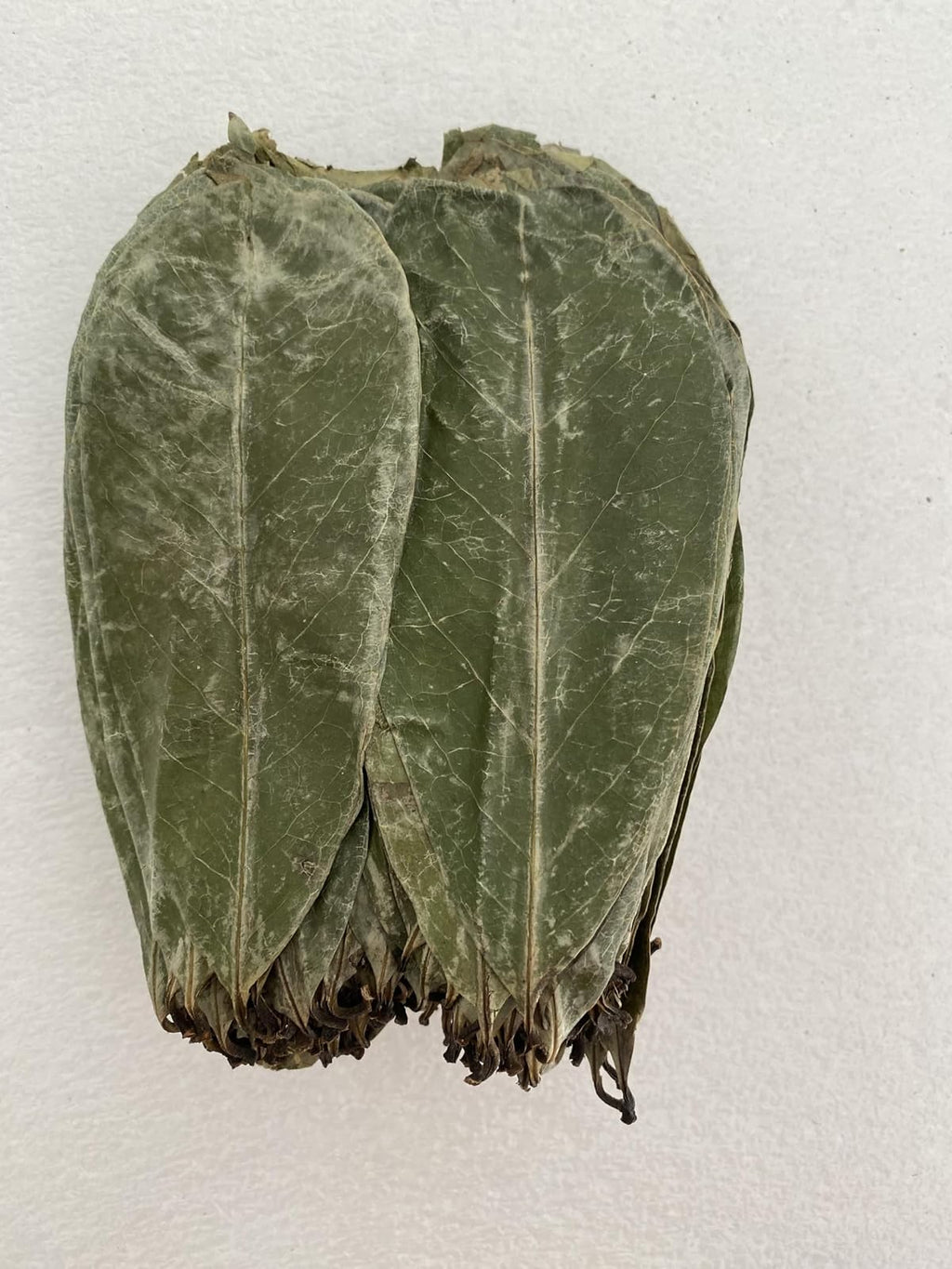 Soursop Graviola herbal infusion