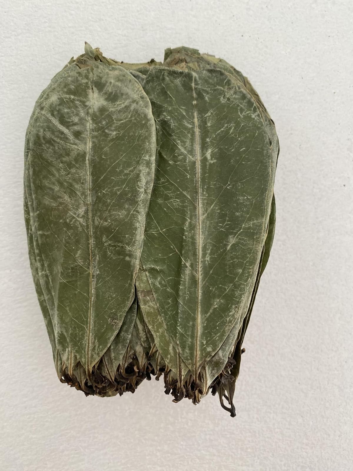 Soursop Graviola herbal infusion