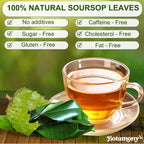 Soursop Graviola leaf tea bags