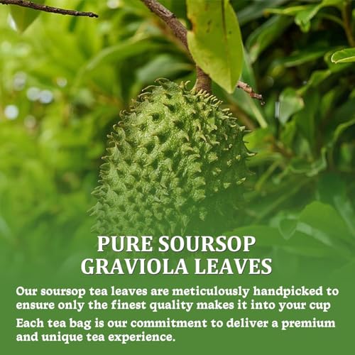 Soursop Graviola leaf tea benefits