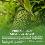 Soursop Graviola leaf tea benefits