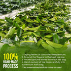 Soursop graviola leaf tea for immunity