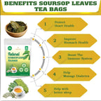 Soursop Graviola leaf tea for wellness