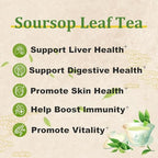 Soursop herbal detox tea experience