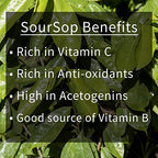 soursop herbal tea bags for digestion