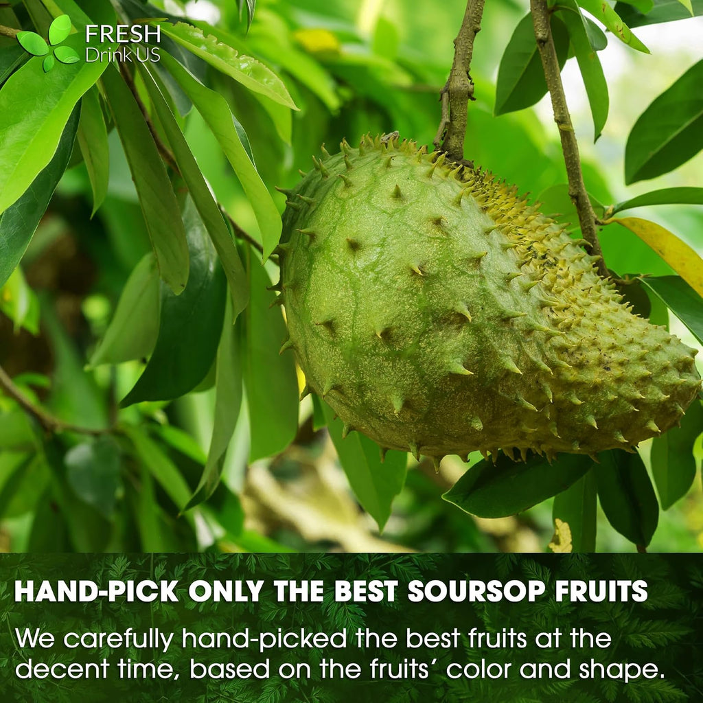 Soursop herbal tea for digestion