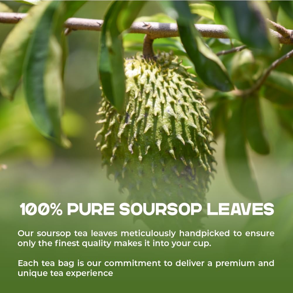 soursop herbal tea for digestive health