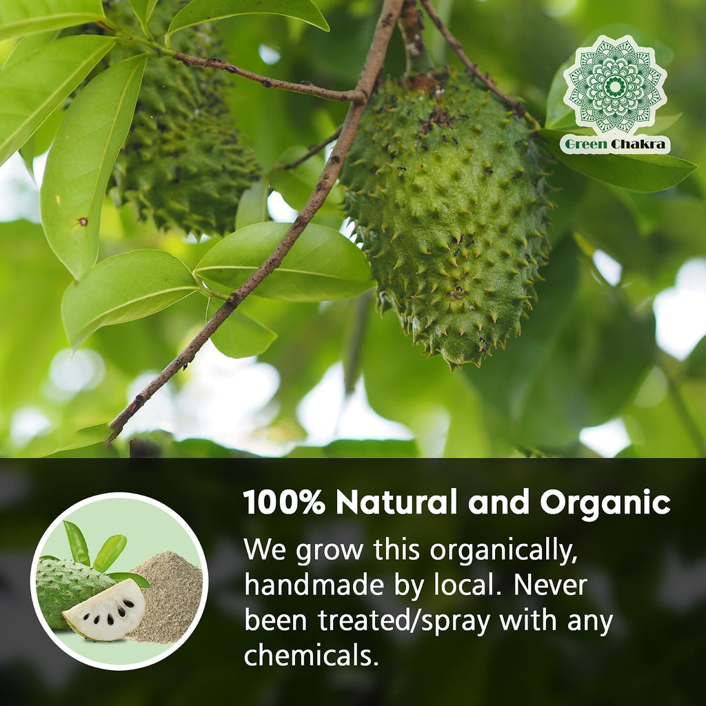 Soursop herbal tea for wellness