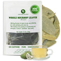 Soursop herbal tea for wellness