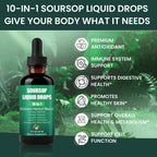 Soursop kids multivitamin benefits