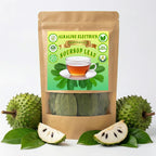 soursop leaf herbal tea benefits