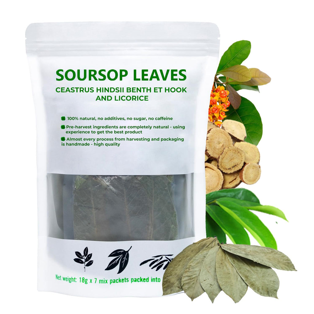 Soursop leaf tea for herbal wellness