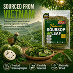 Soursop leaves for digestive health