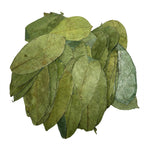 soursop leaves for energizing ginger tea