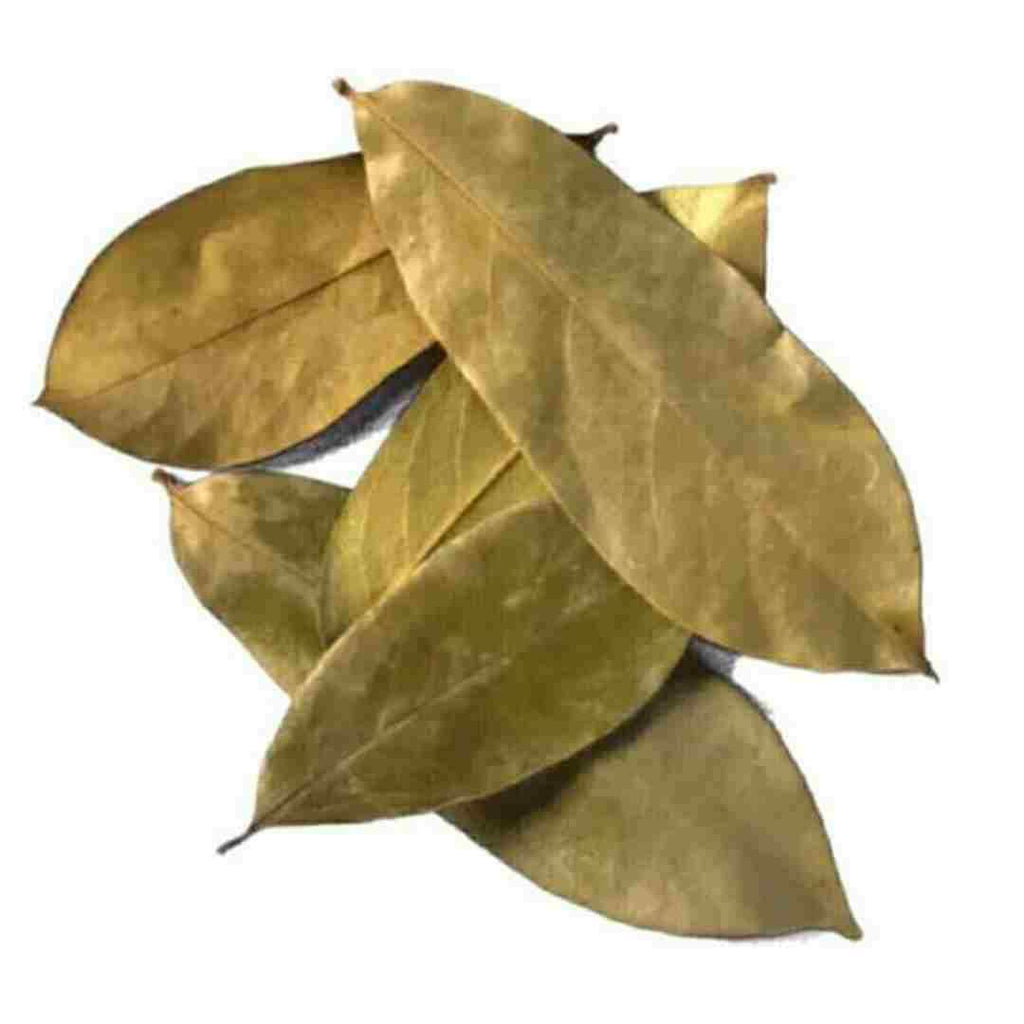 soursop leaves for herbal remedies