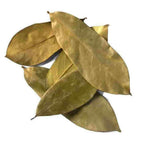 soursop leaves for herbal remedies