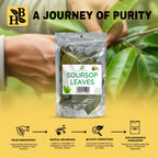 soursop leaves for herbal remedies
