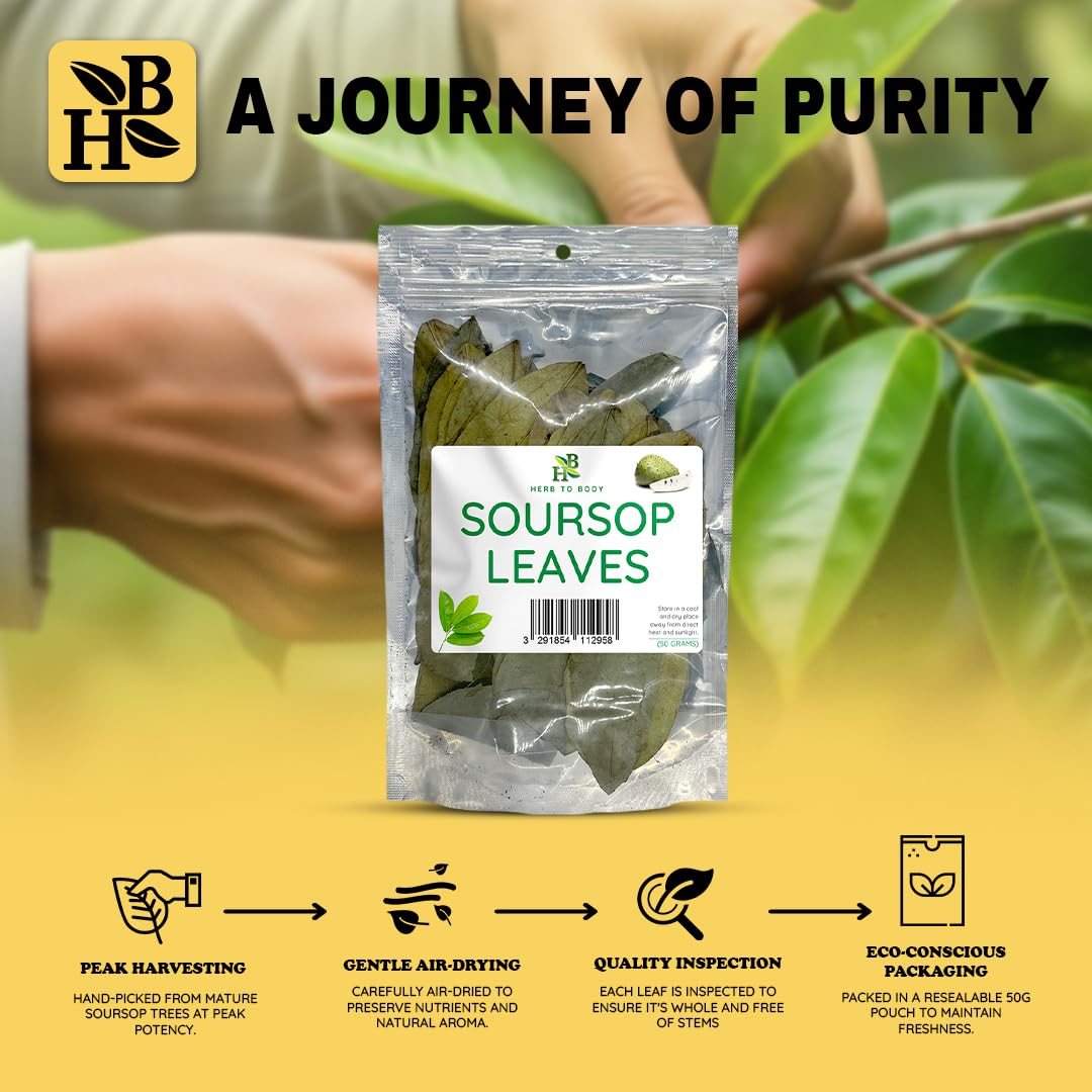 soursop leaves for herbal remedies