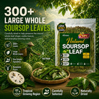 Soursop leaves for natural remedies