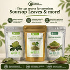 Soursop leaves for refreshing herbal brews
