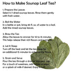 Soursop leaves for wellness tea