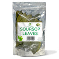 soursop leaves herbal tea benefits