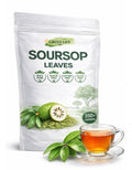 soursop leaves herbal tea benefits