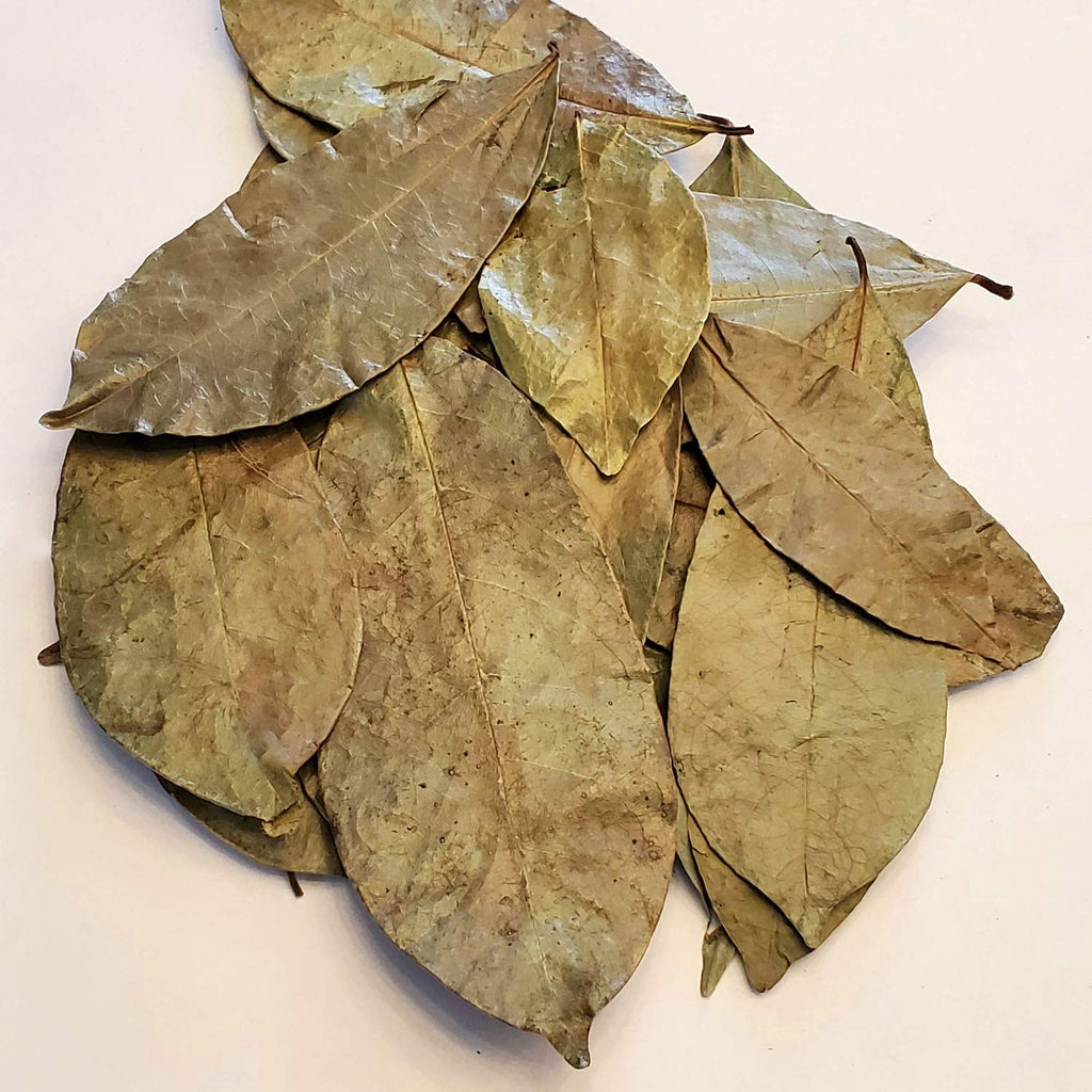soursop leaves tea for digestion