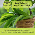 Soursop leaves tea for digestion