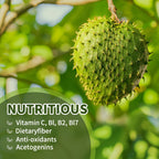 Soursop multivitamin for active lifestyles