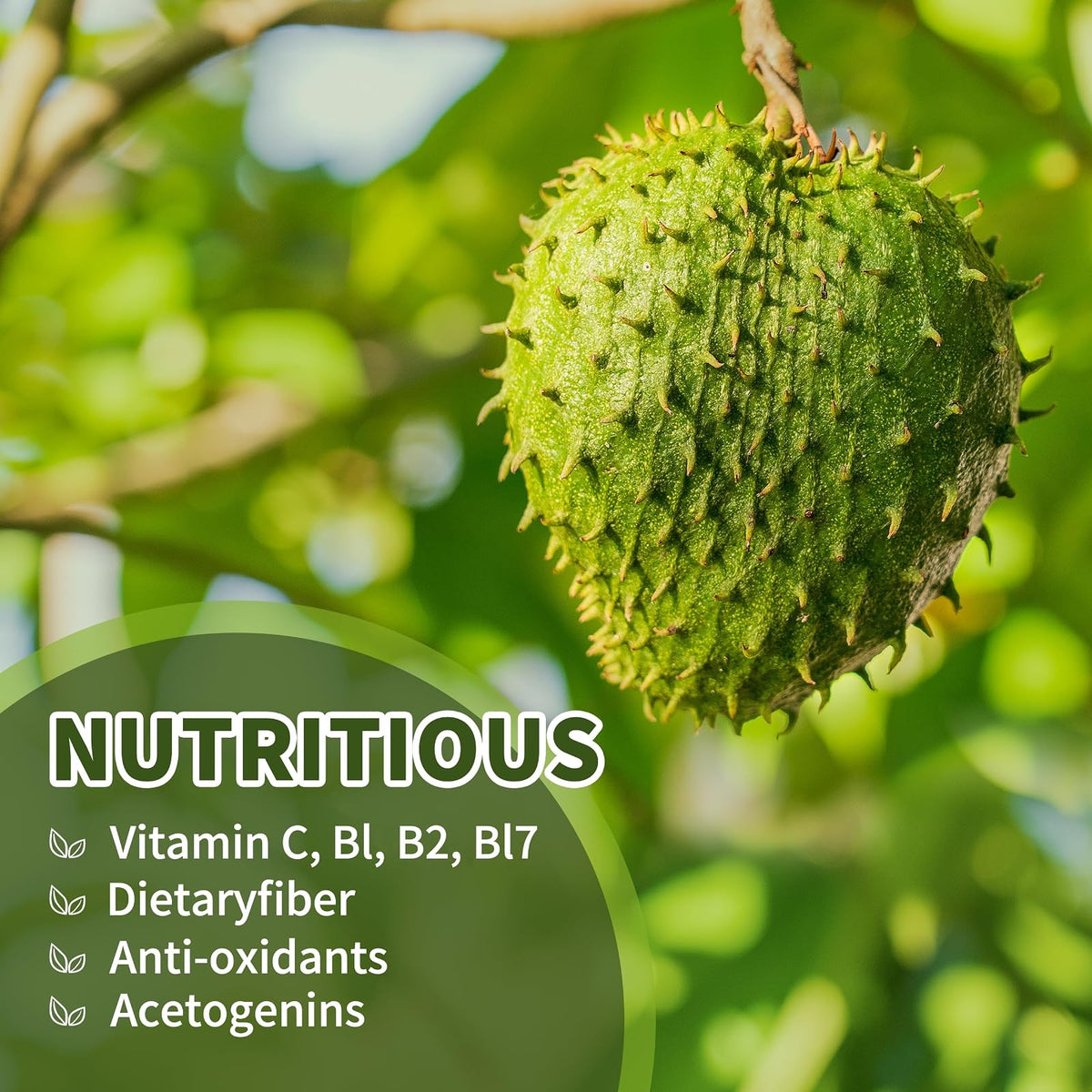 Soursop multivitamin for active lifestyles