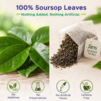 Soursop tea bags for herbal detox