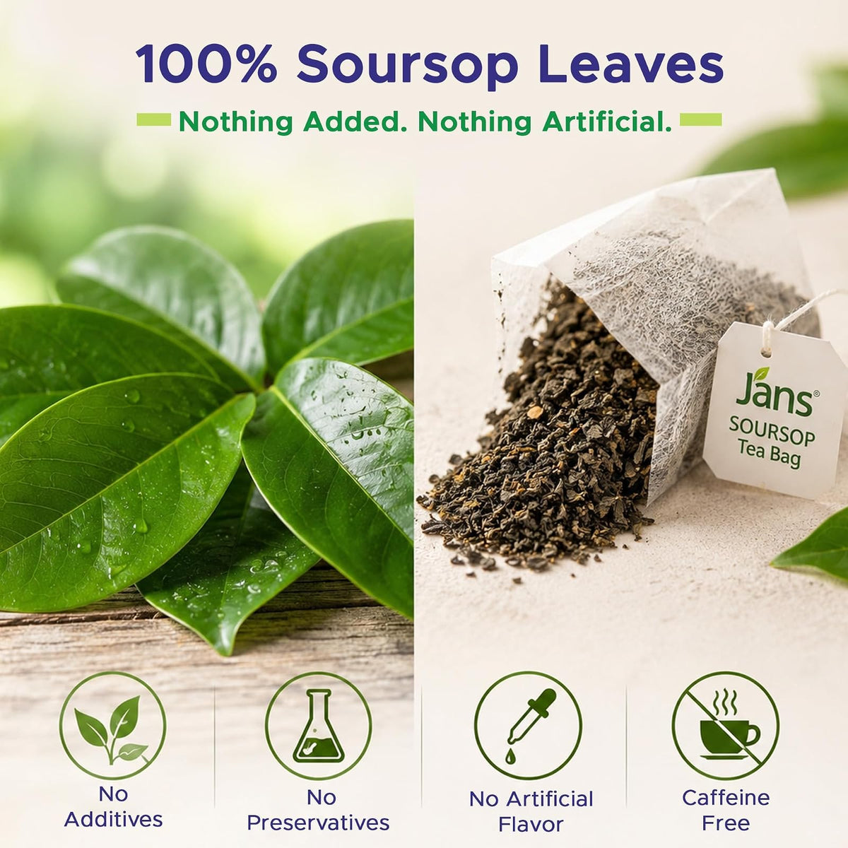 Soursop tea bags for herbal detox