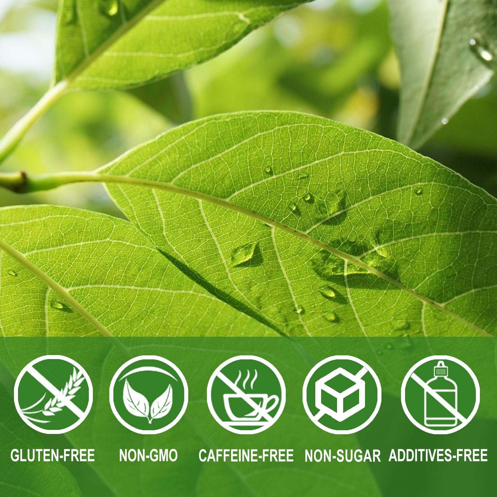 soursop tea bags for immune support
