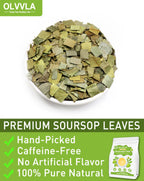 Soursop tea bags rich in antioxidants