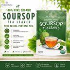 soursop tea for digestive health