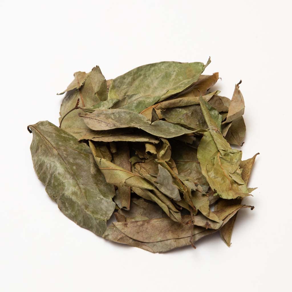 soursop tea leaves for relaxation
