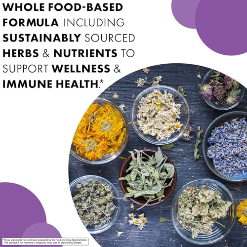 soy-free elderberry formula for immunity