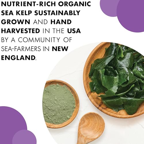 soy-free iodine for sensitive diets