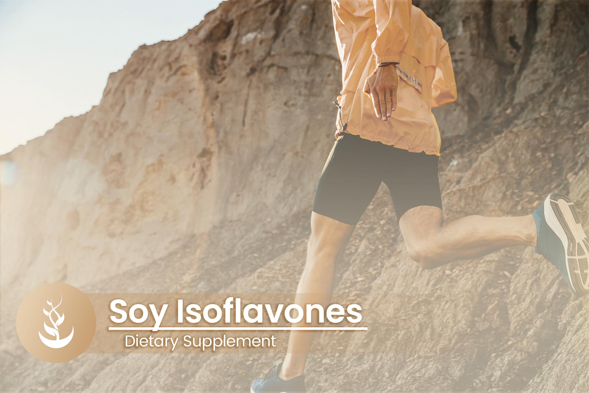 soy isoflavones for overall wellness