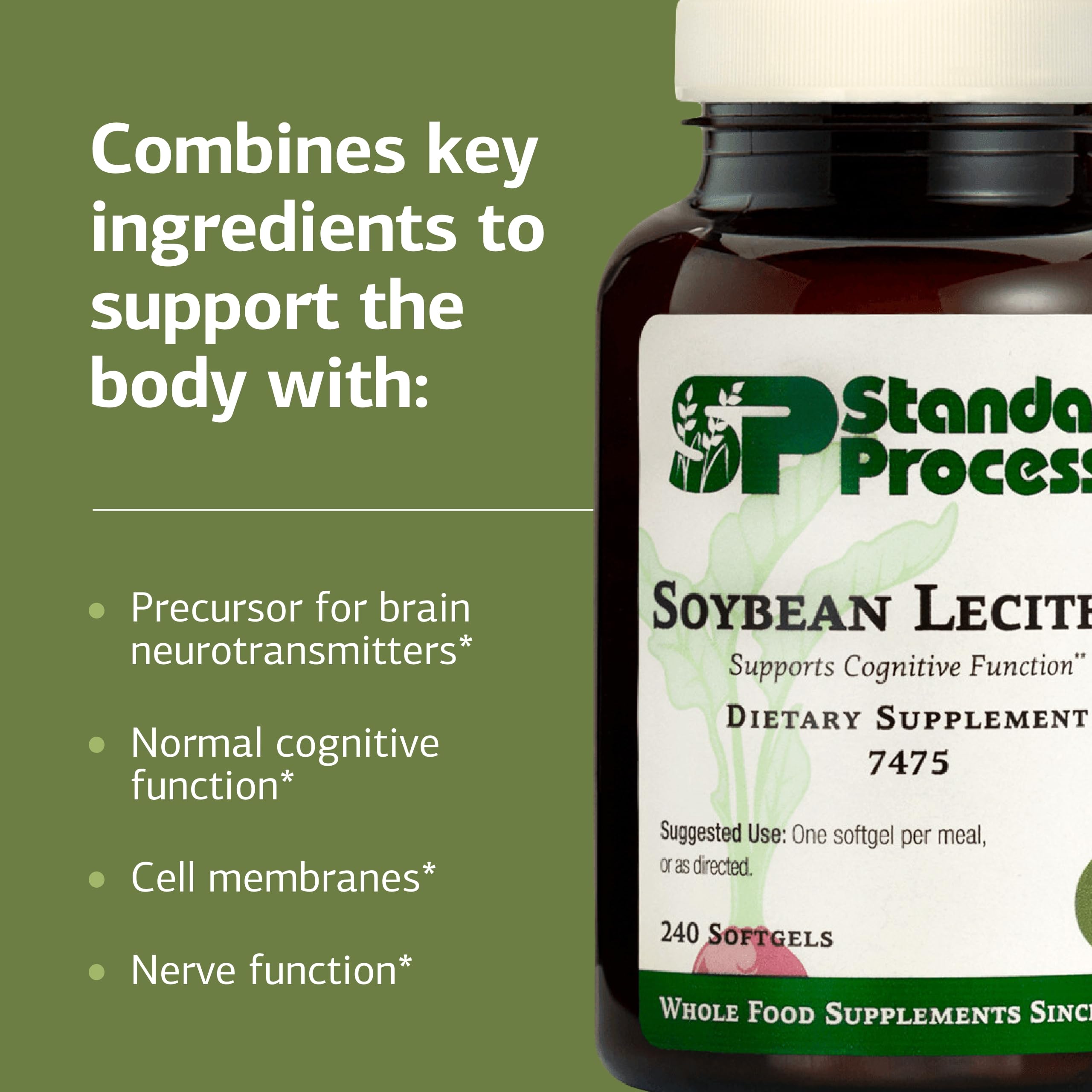 soybean lecithin for cognitive function